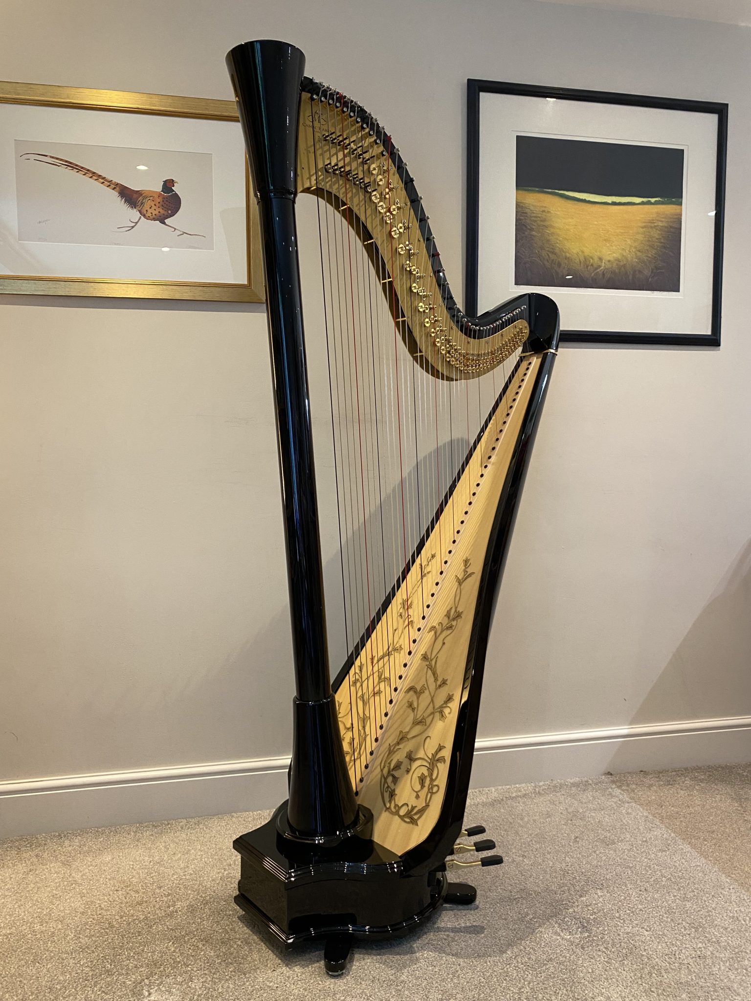 Second-hand - Camac Harps Wales