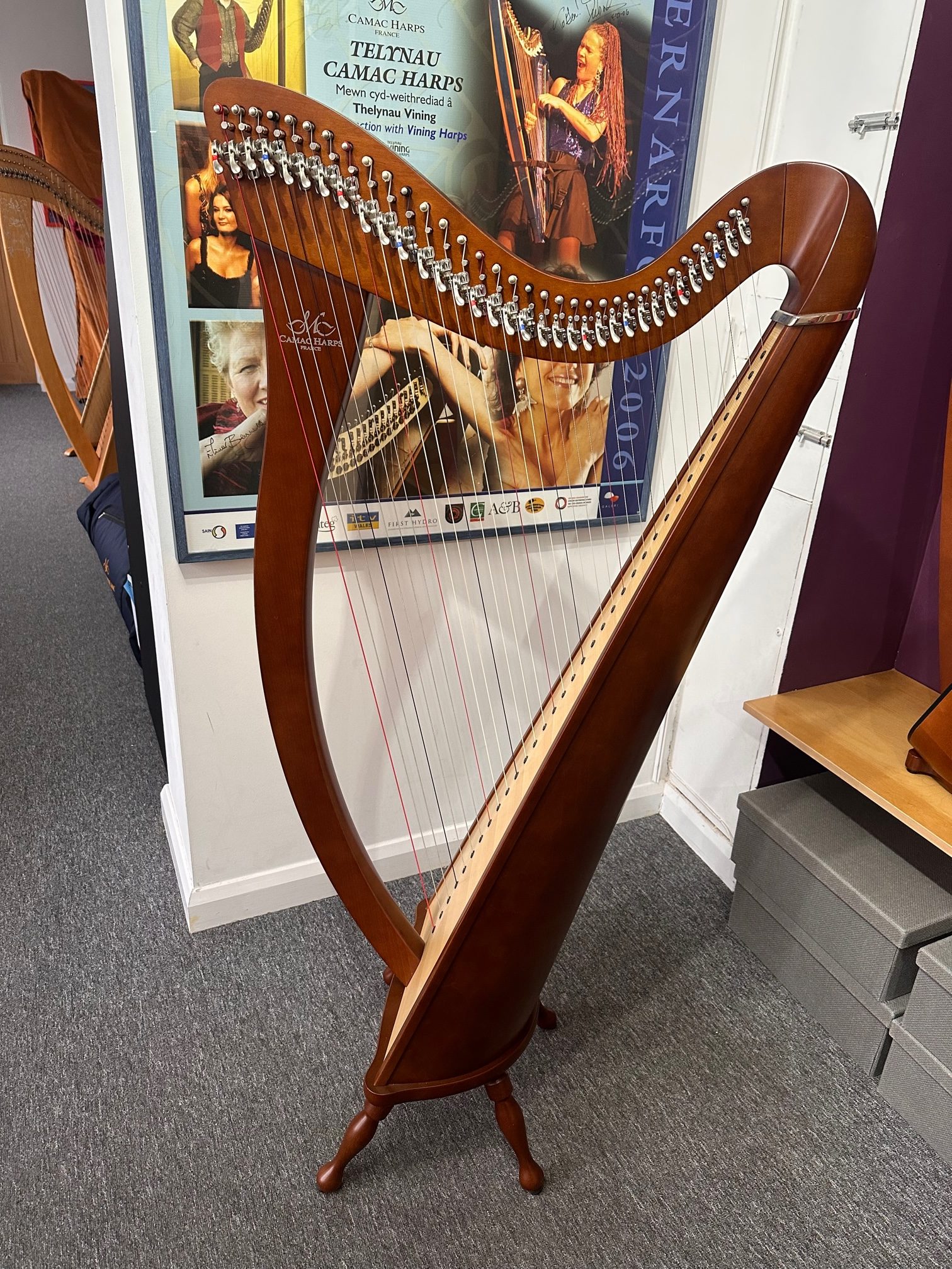 Ex-demo harps - Camac Harps Wales